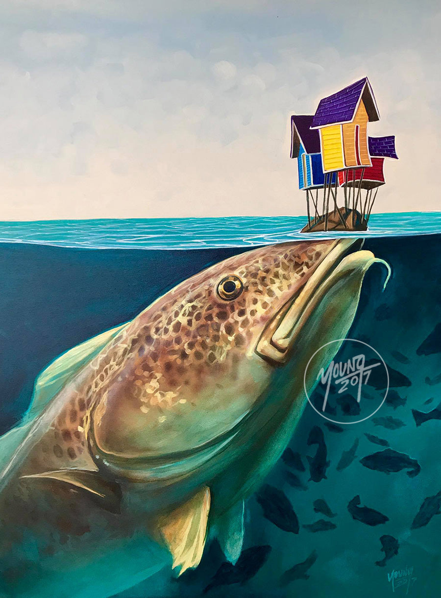 The Cod – Young Studios